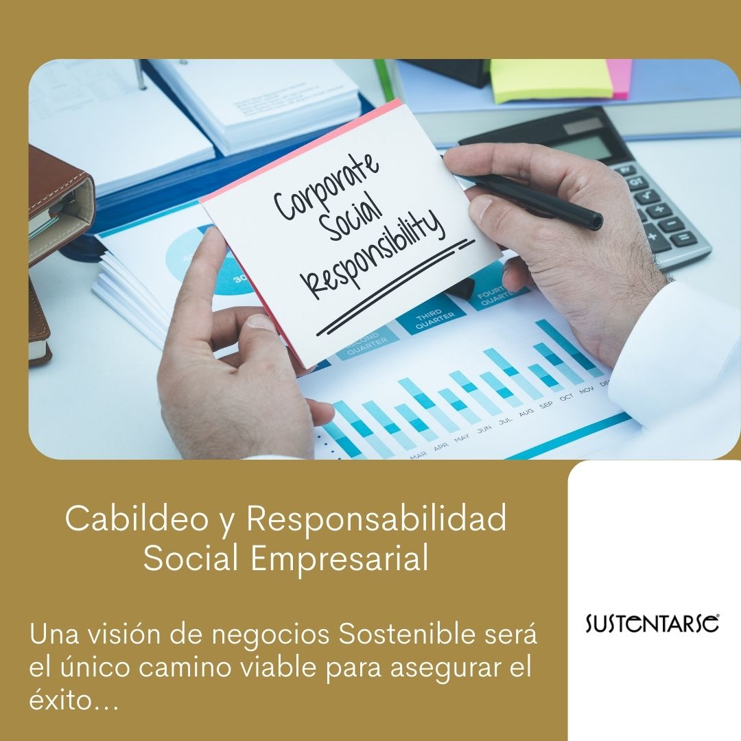 Cabildeo y Responsabilidad Social Empresarial. Consultoría.......